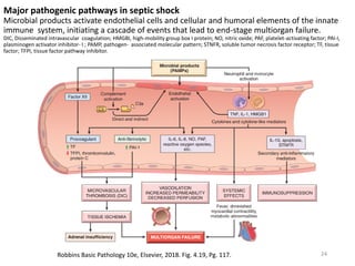 Pathology and Pathophysiology of Shock | PPT