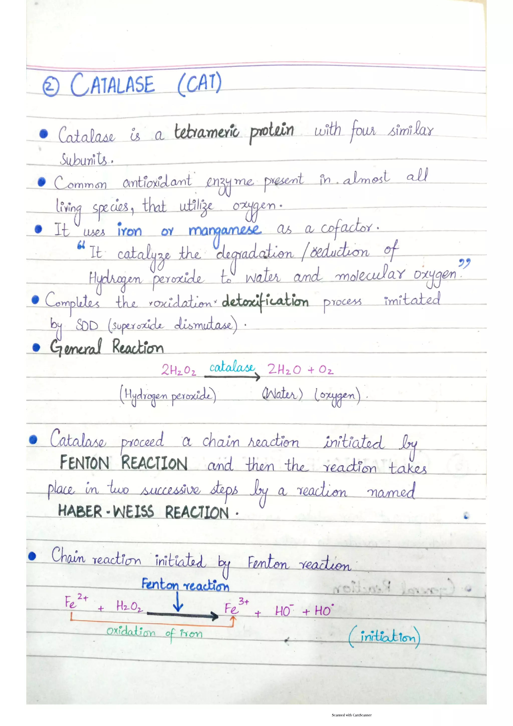 Pathology antioxidants handwritten notes by urooj umer | PDF