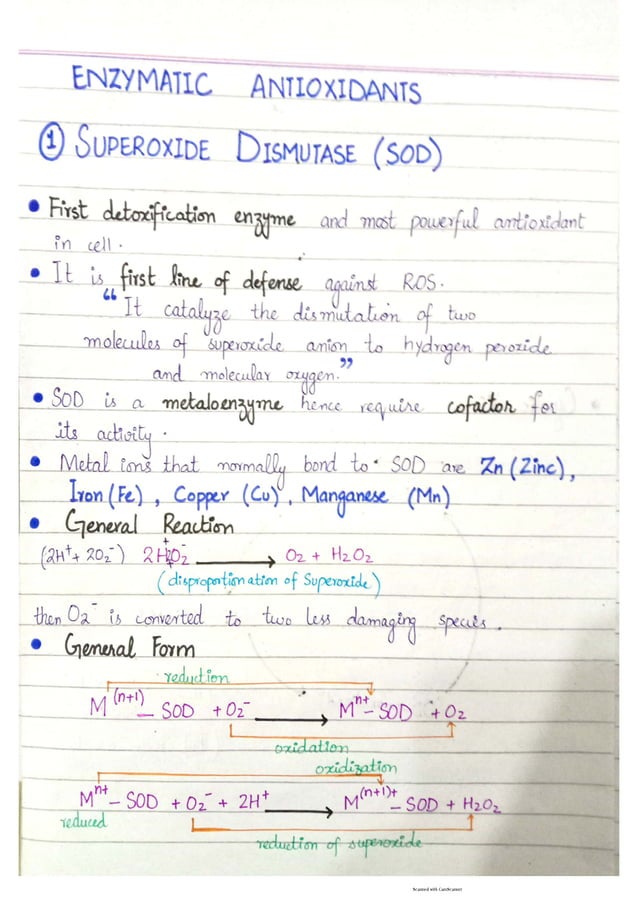 Pathology antioxidants handwritten notes by urooj umer | PDF