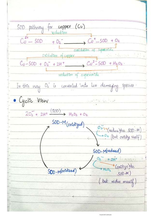 Pathology antioxidants handwritten notes by urooj umer | PDF