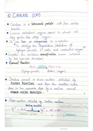 Pathology antioxidants handwritten notes by urooj umer | PDF