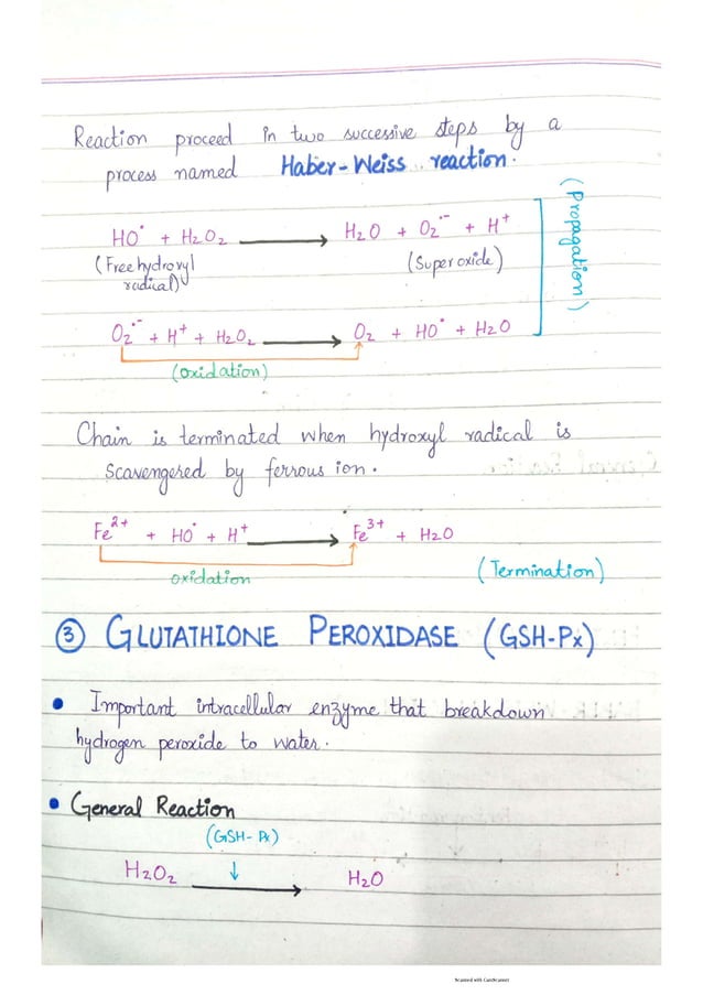 Pathology antioxidants handwritten notes by urooj umer | PDF