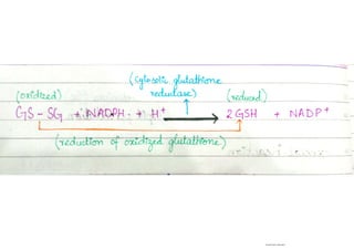 Pathology antioxidants handwritten notes by urooj umer | PDF