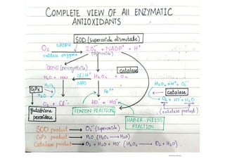 Pathology antioxidants handwritten notes by urooj umer | PDF