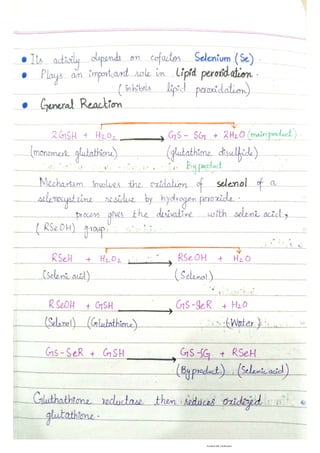 Pathology antioxidants handwritten notes by urooj umer | PDF