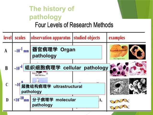 Pathology Basic data advanced Sources.pptx