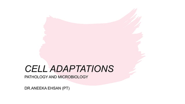 Cell adaptations.pptx/ hypertrophy/ atrophy/ dysplasia/ metaplasia ...