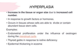 Cell adaptations.pptx/ hypertrophy/ atrophy/ dysplasia/ metaplasia ...