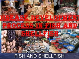 Pathology disease development process | PPT | Infectious Diseases ...