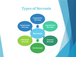 PATHOLOGY FOR NURSES - CELL INJURY...... | PPTX