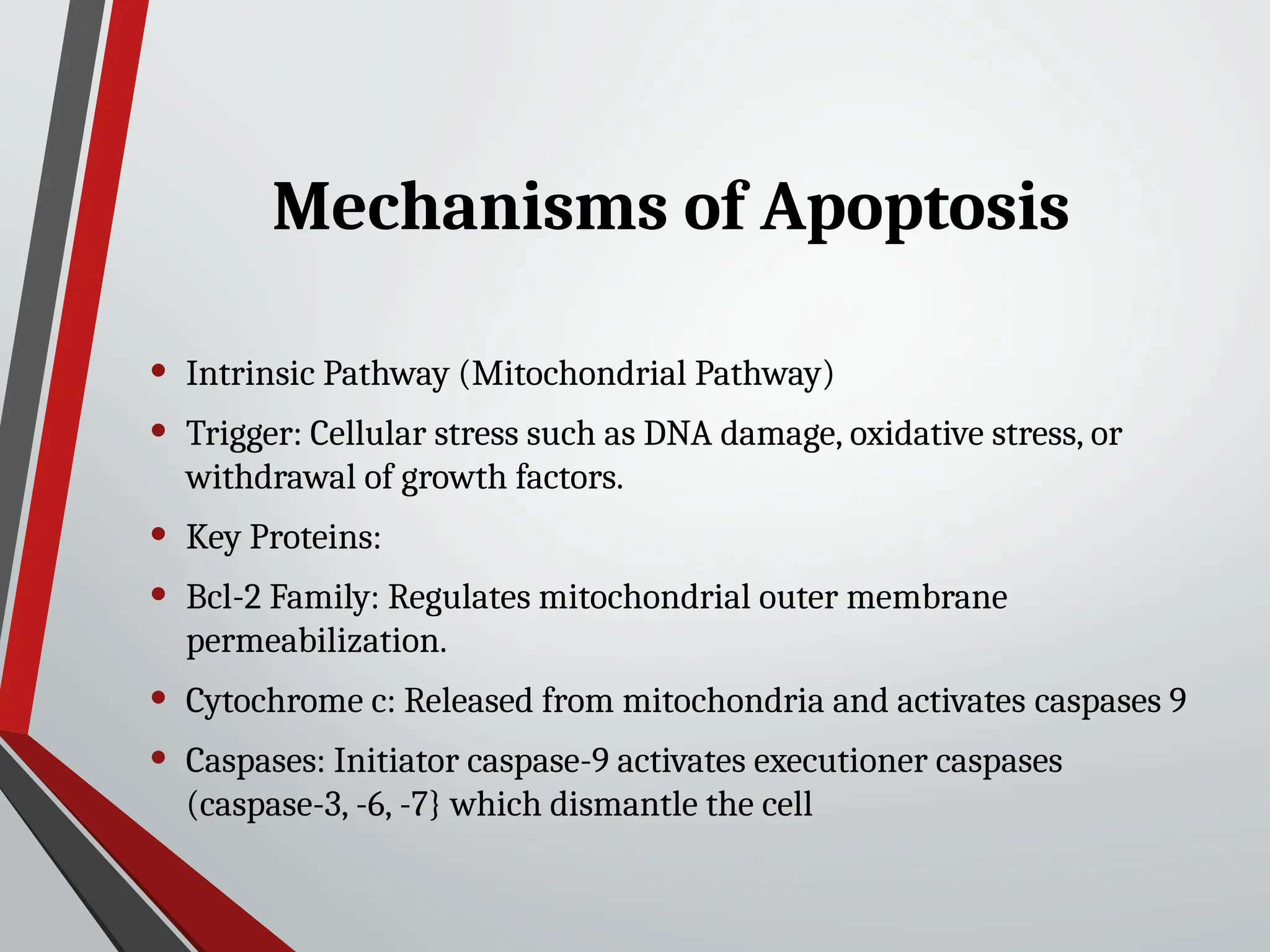 PATHOLOGY FOR NURSES CELLULAR ADAPTATIONS.pptx