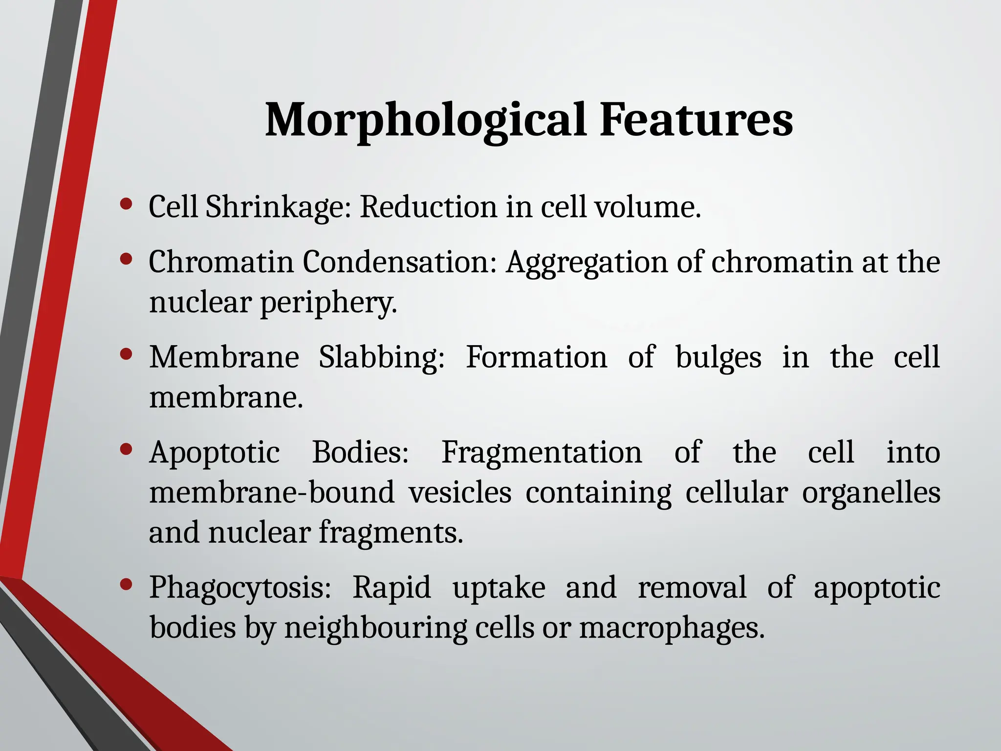 PATHOLOGY FOR NURSES CELLULAR ADAPTATIONS.pptx