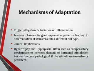 PATHOLOGY FOR NURSES CELLULAR ADAPTATIONS.pptx