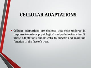 PATHOLOGY FOR NURSES CELLULAR ADAPTATIONS.pptx