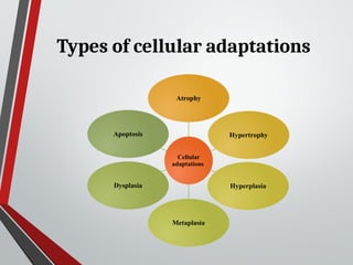 PATHOLOGY FOR NURSES CELLULAR ADAPTATIONS.pptx