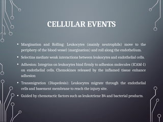 PATHOLOGY FOR NURSES - INFLAMMATION....... | PPTX