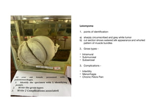Second year Pathology Gross Spotters.pdf