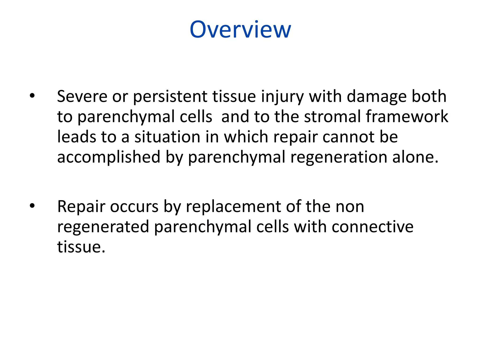 Pathology healing and repair stmu | PPTX