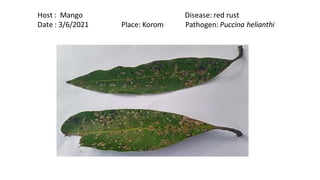 PATHOLOGY HERBARIUM.pdf
