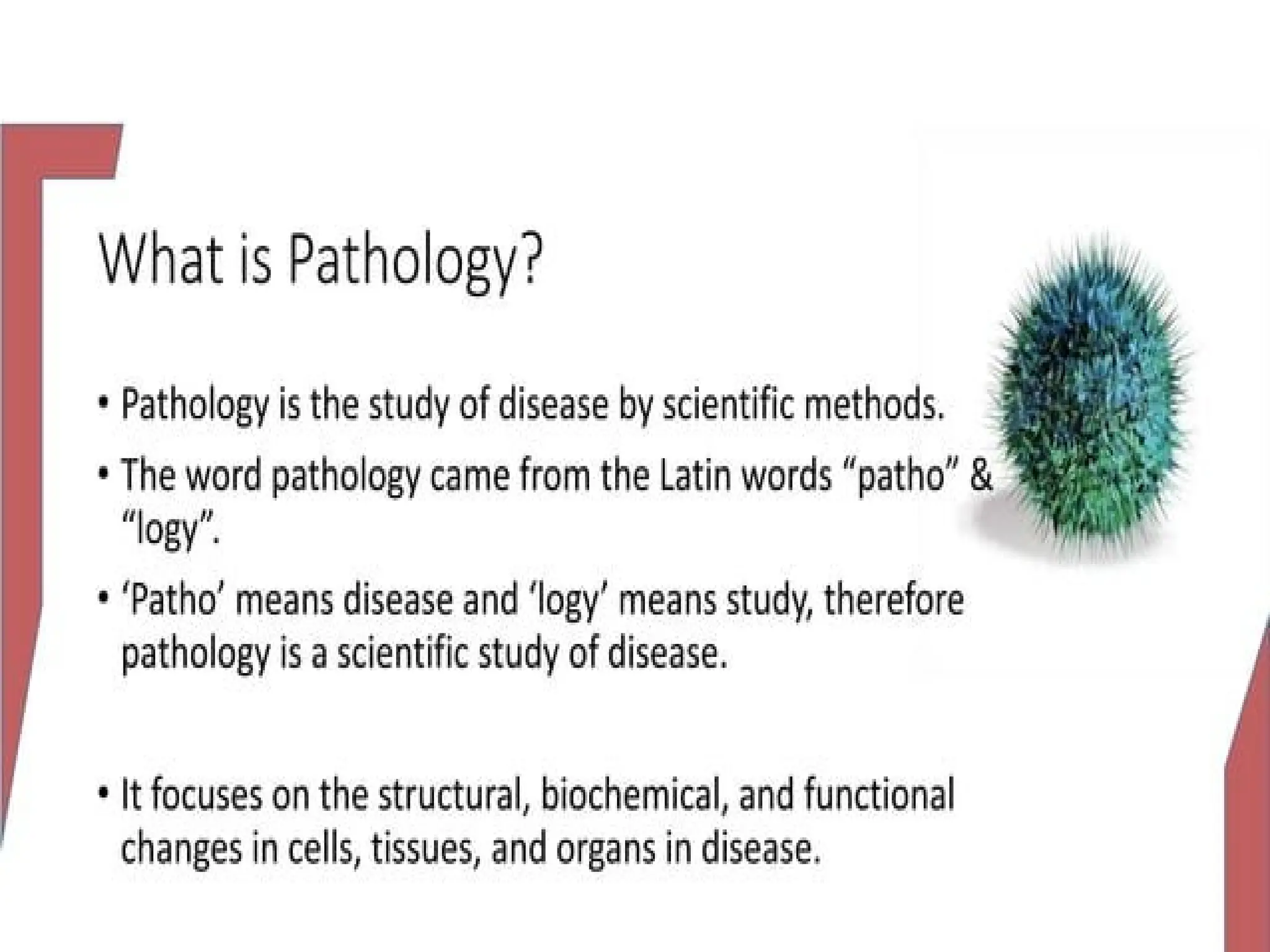 pathology introduction in detail about it's basics .pptx