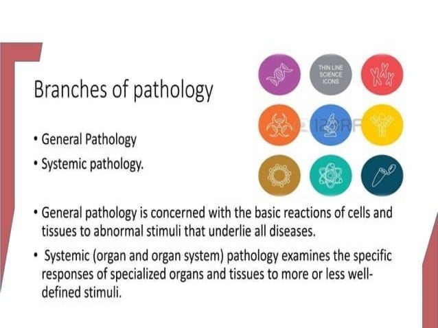 Pathology Introduction In Detail About Its Basics Pptx