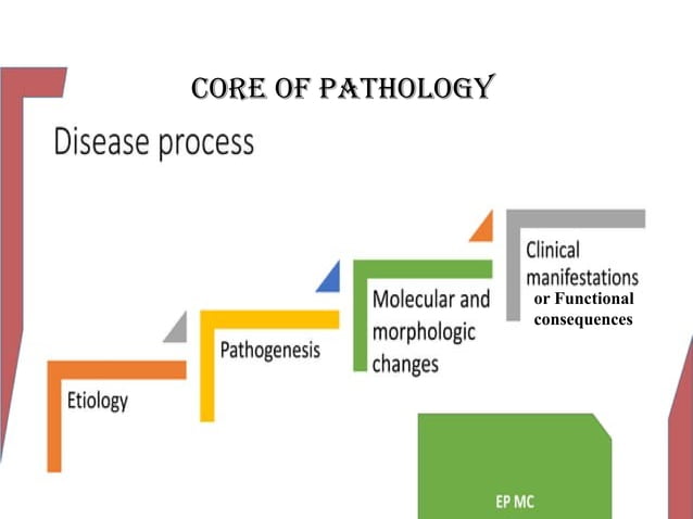 pathology introduction in detail about it's basics .pptx