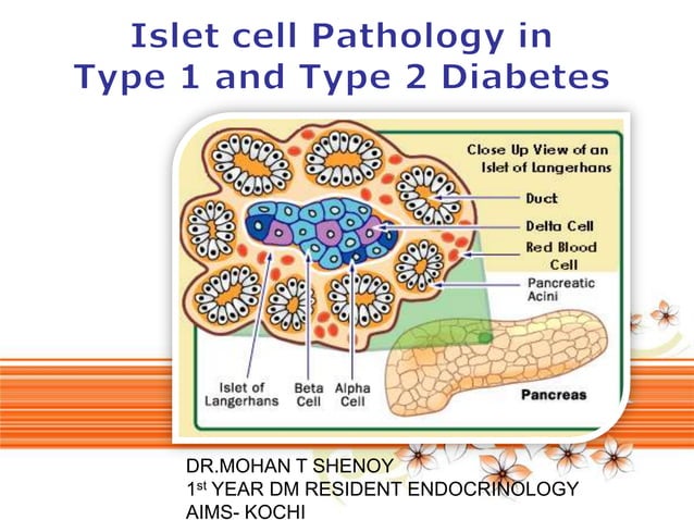 Islet cell Pathology | PPT