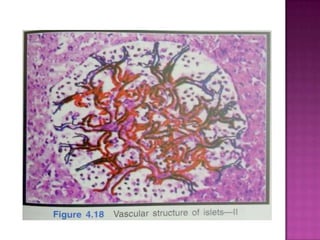 Islet cell Pathology | PPTX