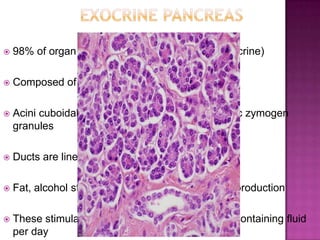 Pancreatic Islets Slide