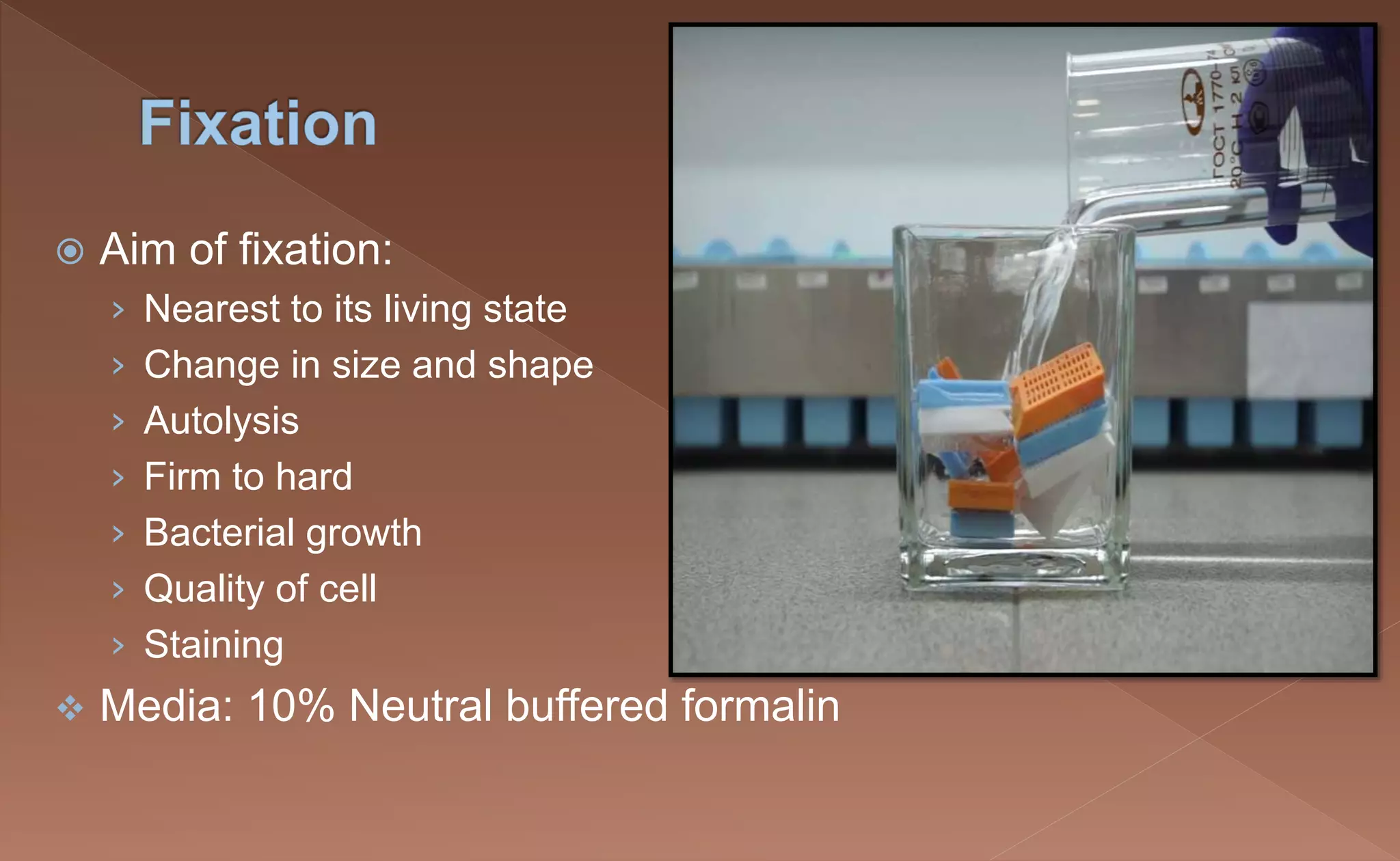 Basic laboratory techniques, special stains and immunohistochemistry in ...