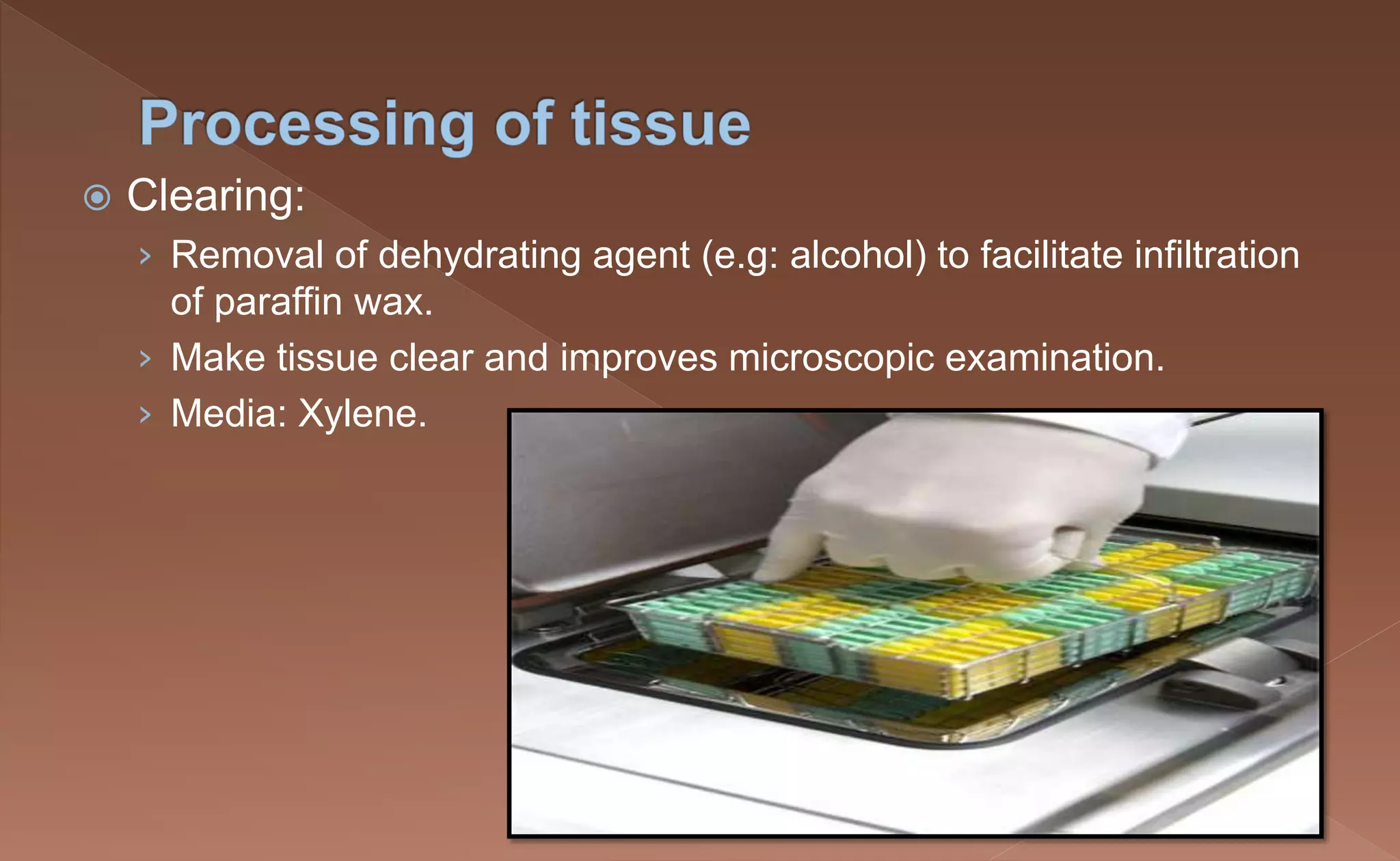 Basic laboratory techniques, special stains and immunohistochemistry in ...