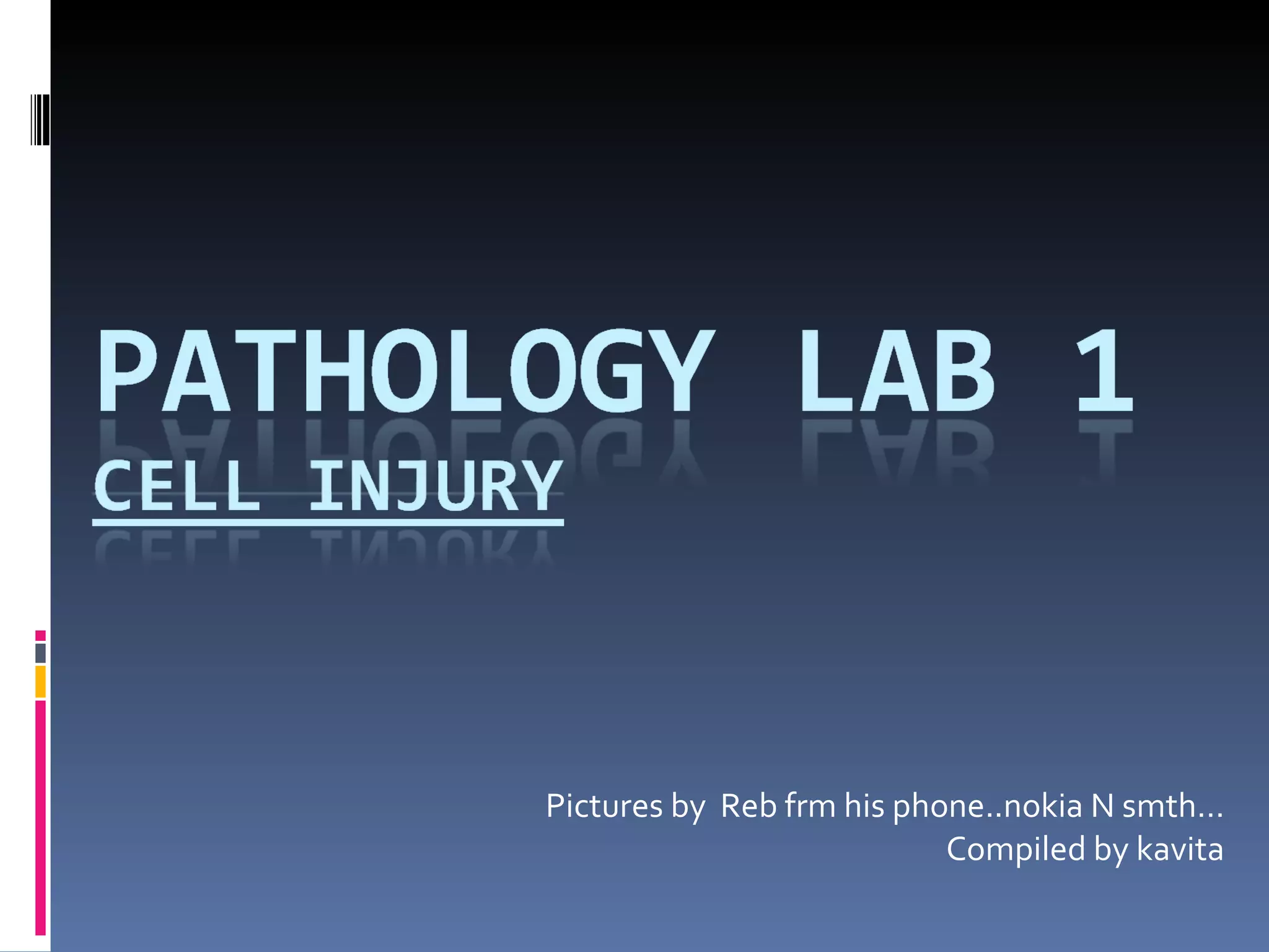 Pathology Lab 1 | PPT