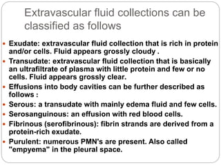 Pathology lab 3 acute inflammation | PPT