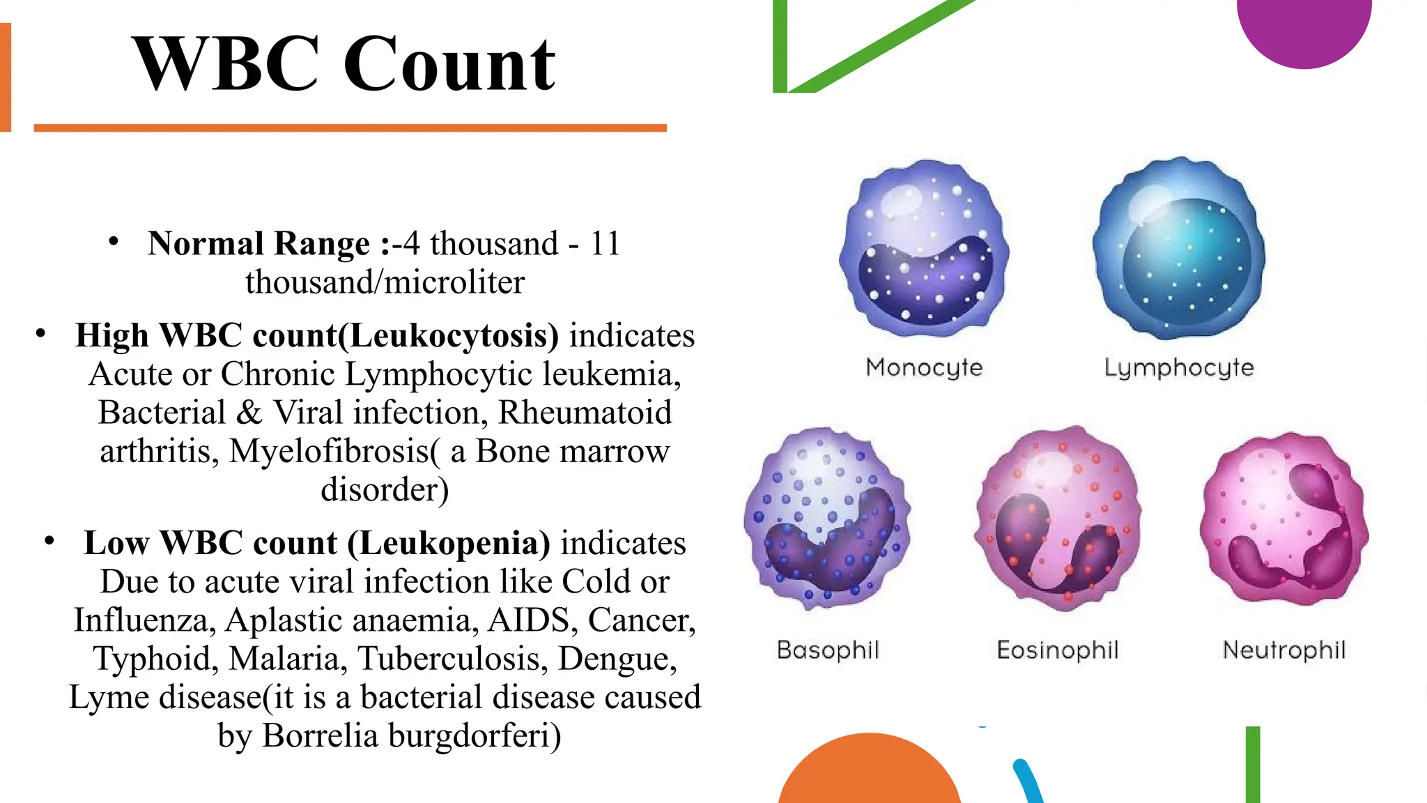 Pathology laboratory presentation by Dr Rajesh Jain | PPTX
