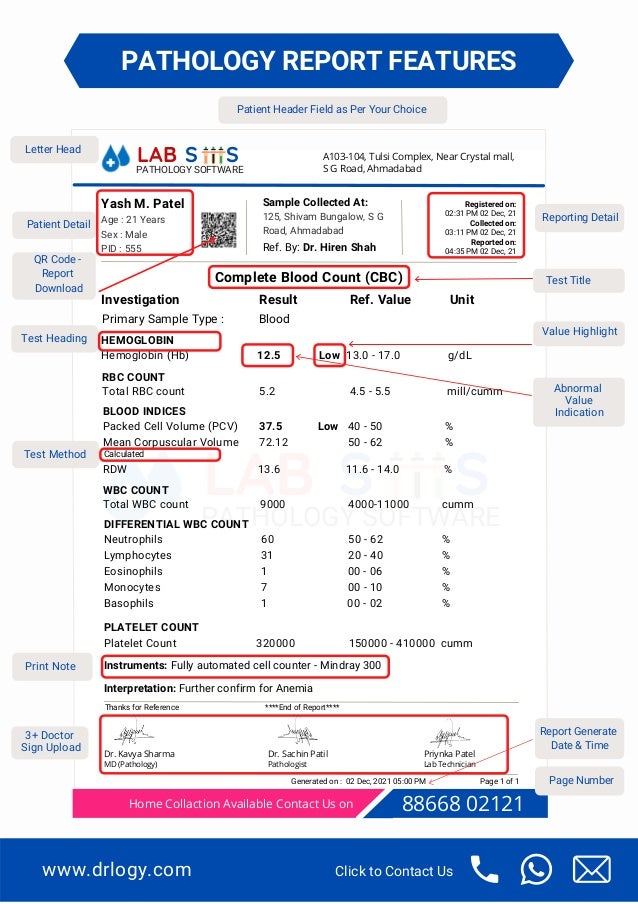 Pathology Lab Software | PDF