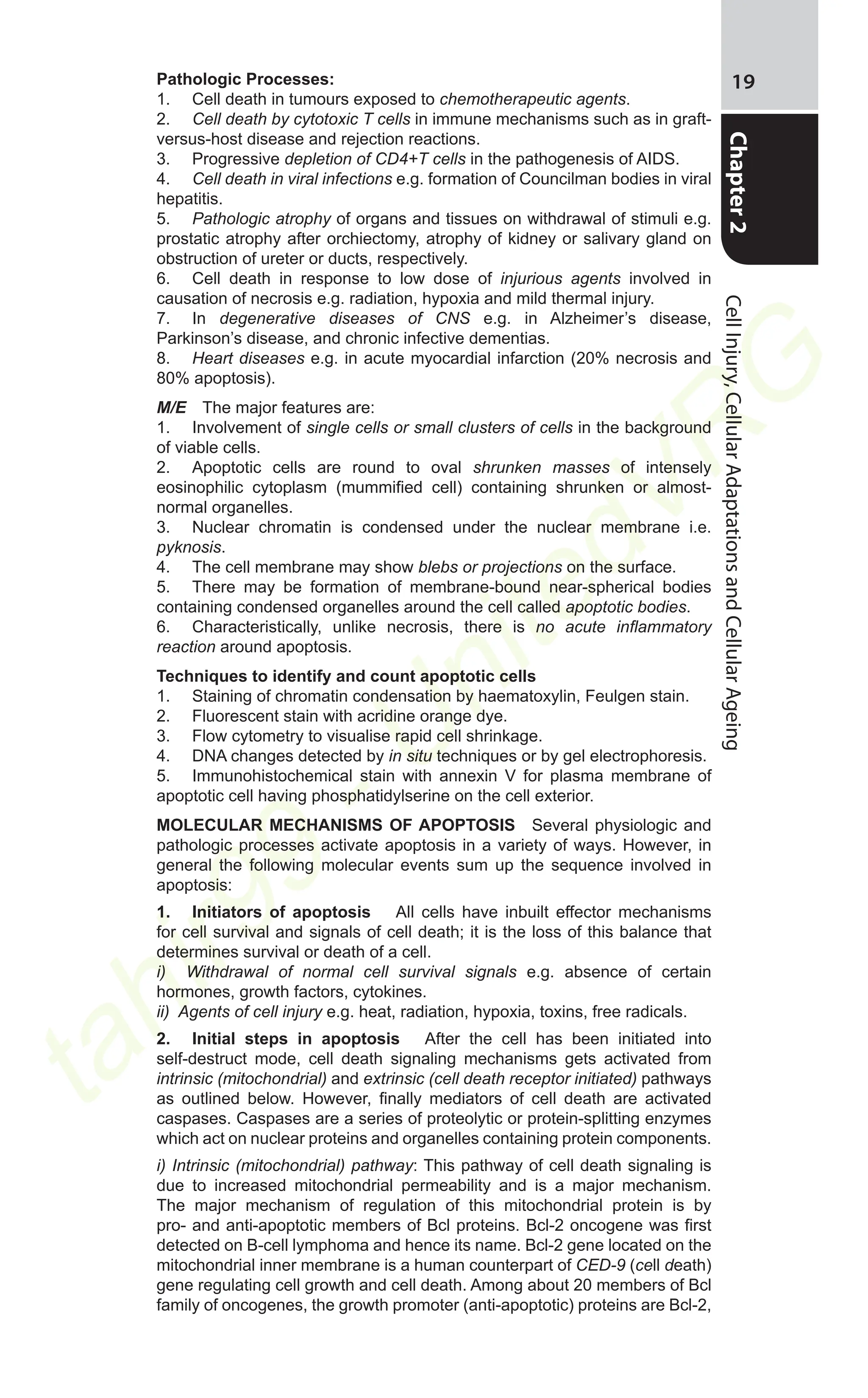 pathology MCQS introduction to pathology general pathology | PDF