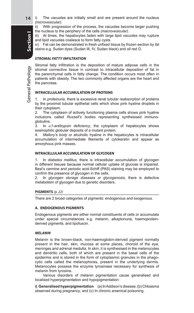 pathology MCQS introduction to pathology general pathology | PDF ...
