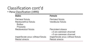 Pathology of Anorectal Malformations edited.pptx | Digestive Disorders ...