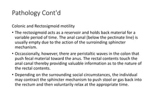 Pathology of Anorectal Malformations edited.pptx