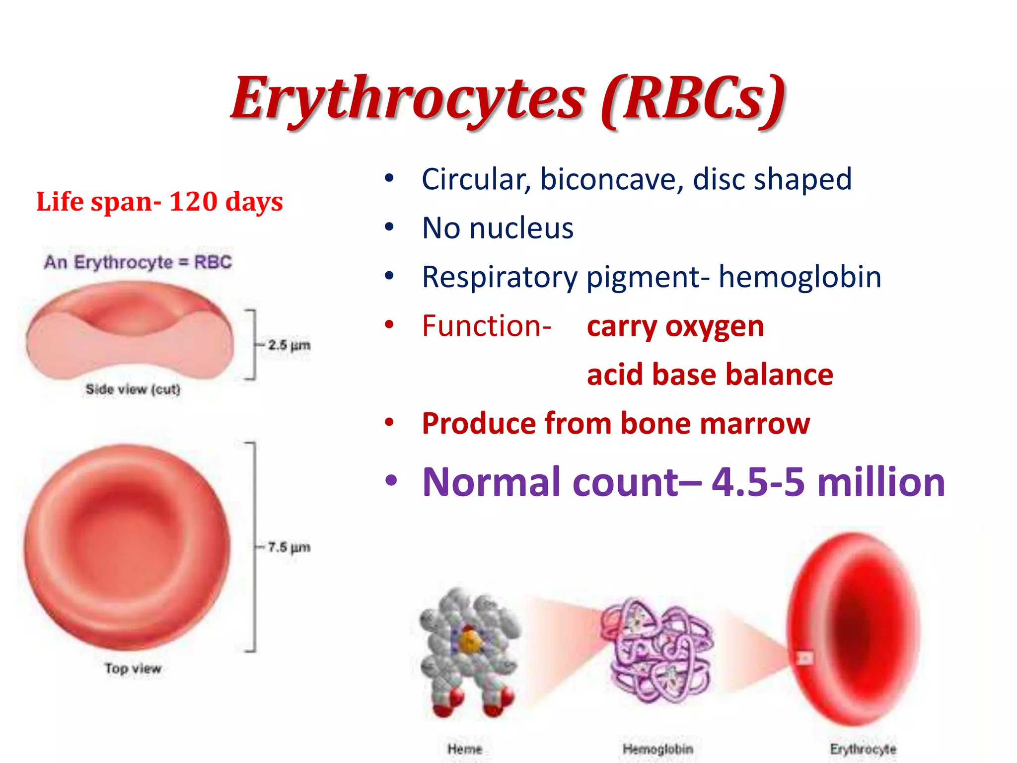 Pathology of blood and urine | PPTX