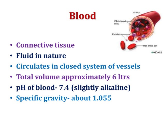 Pathology of blood and urine | PPTX | Blood Disorders | Diseases and ...