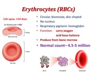 Pathology of blood and urine | PPTX