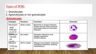 Pathology of Blood And urine & its Significance | PPTX