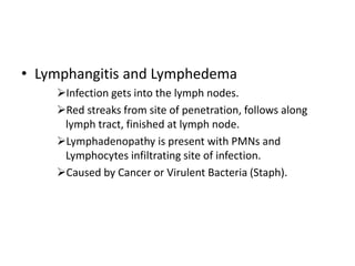 Pathology of blood vessels | PPTX