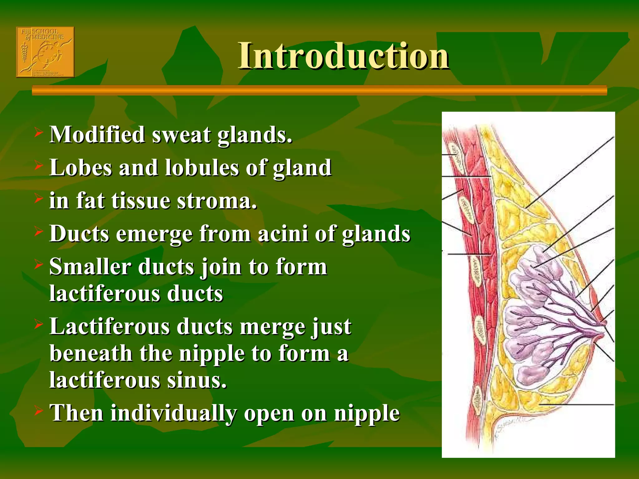 Pathology+of+breast+carcinoma+fsm.ac.fj | Cancer | Diseases and Conditions