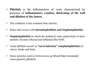 Pathology of cardiovascular system | PDF