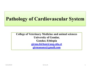 Pathology of Cardiovascular System-DVM-yr-2.pdf
