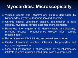 Pathology of cardiovascular system | PPT