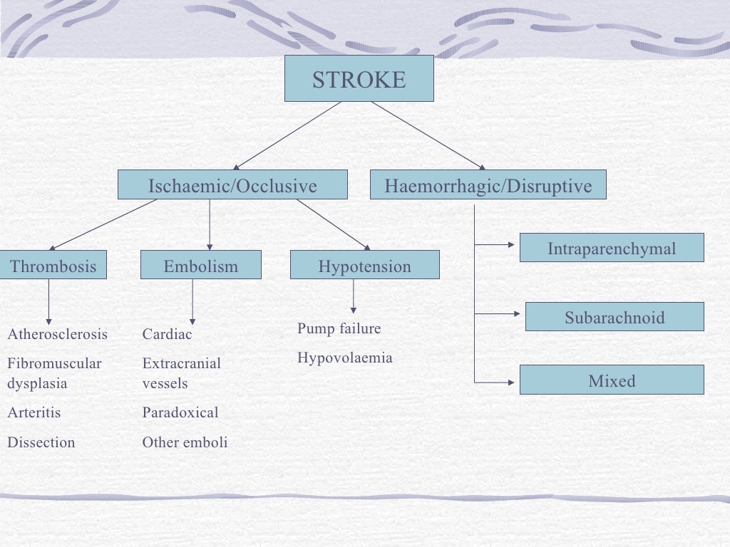 Pathology Of Cerebrovascular Disease Dr Anim