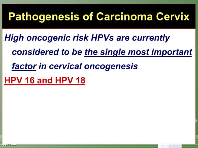 Pathology Of Cervix Anduterus Ppt